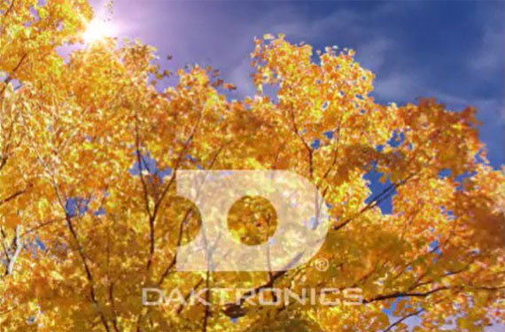 Autumn Animated Content Package