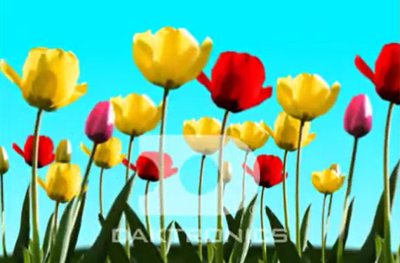 Spring Animated Content Package 96x208