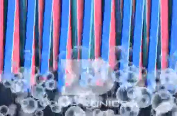 Squeaky Clean Animated Content Package 72x144